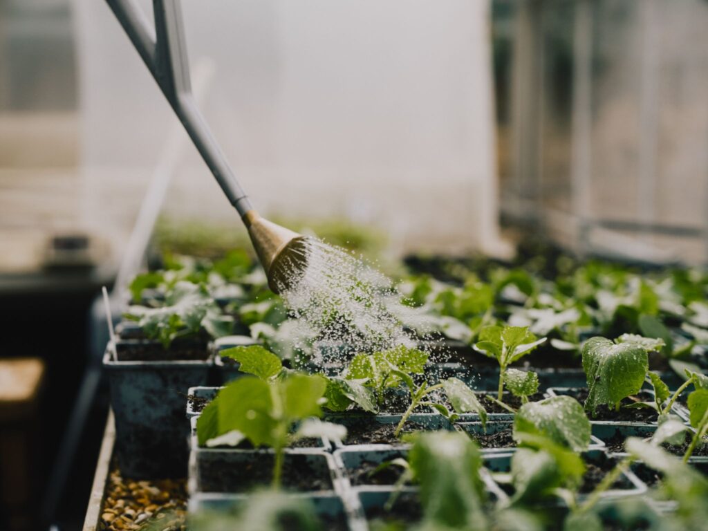 John Lewis Partnership is first UK retailer to have net-zero science ...